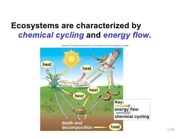 Biology introduction