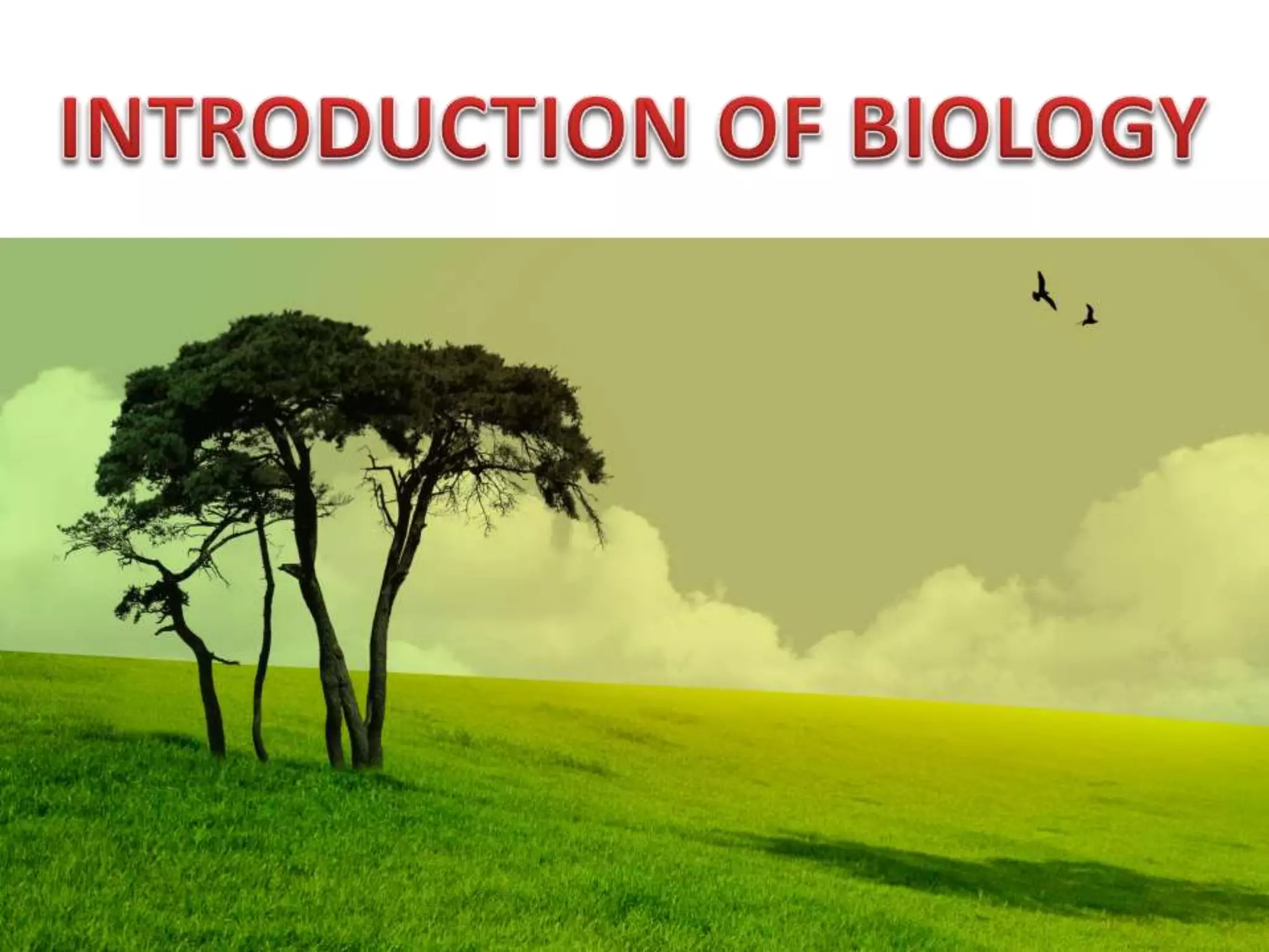 Biology introduction | PPTX