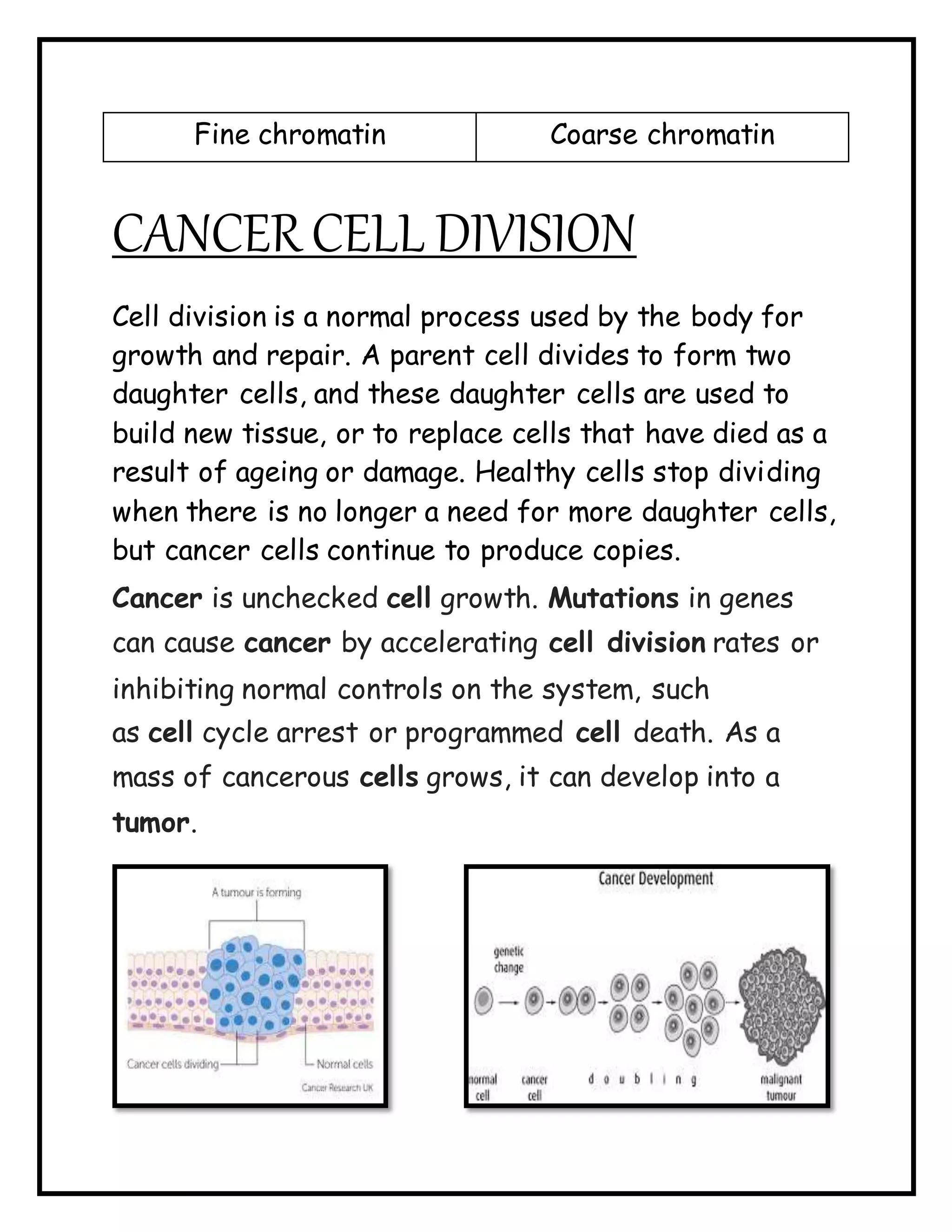 Biology investigatory project | DOCX