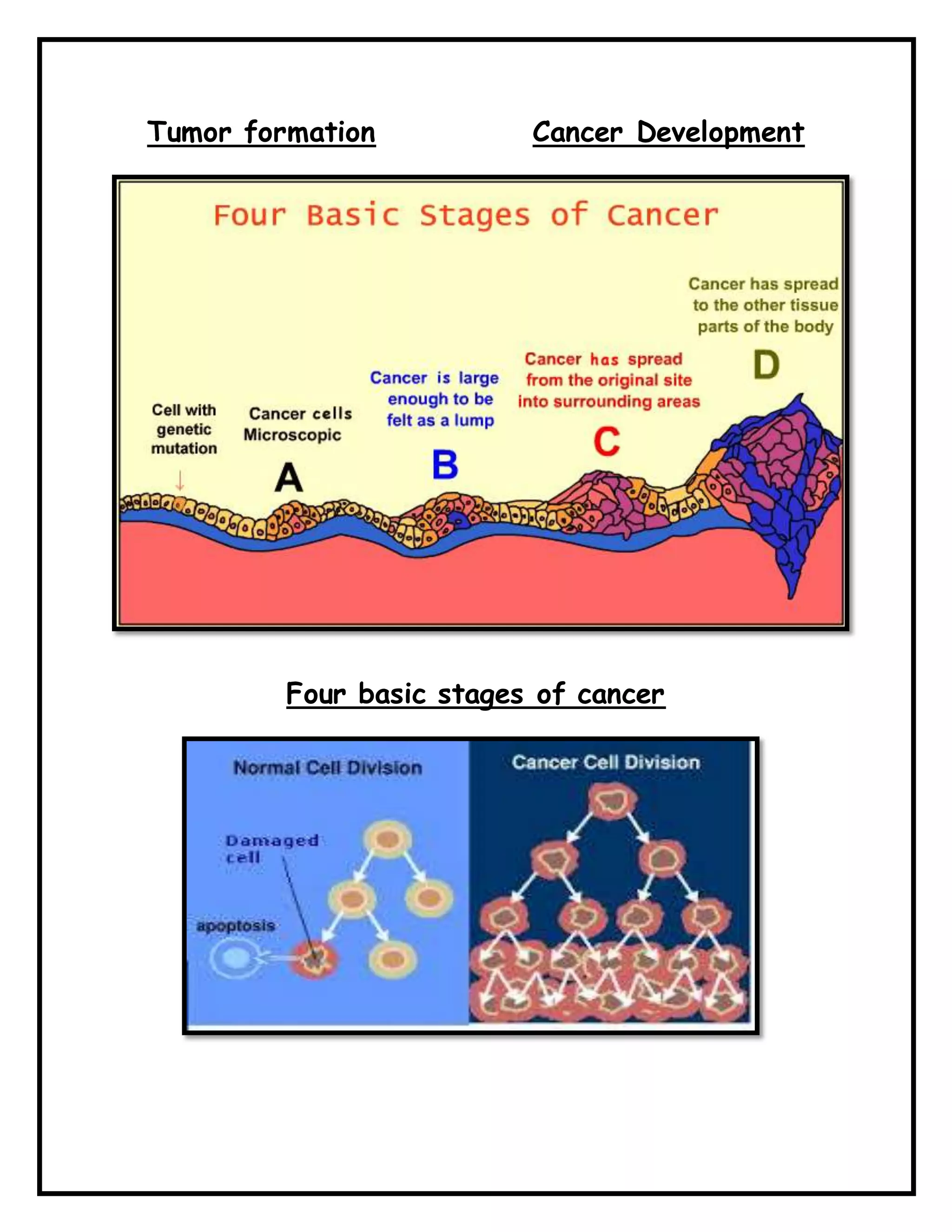 Biology investigatory project | DOCX
