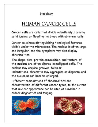 Biology investigatory project | DOCX