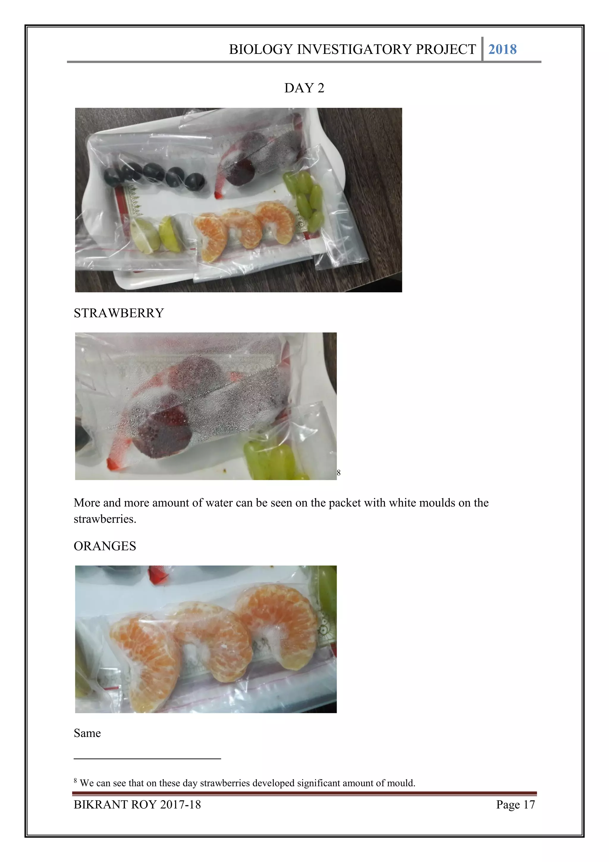 Biology Investigatory Project Class 11 and 12 | PDF