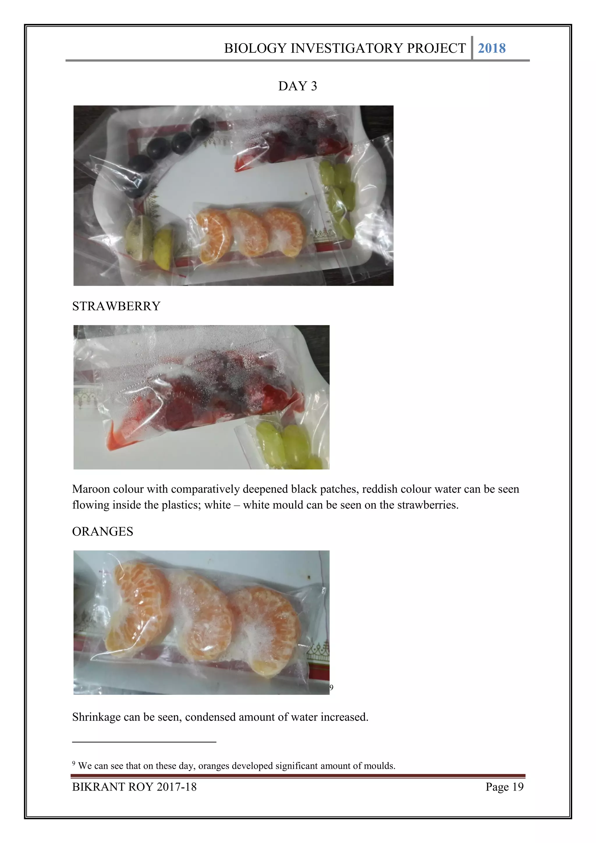 Biology Investigatory Project Class 11 and 12 | PDF