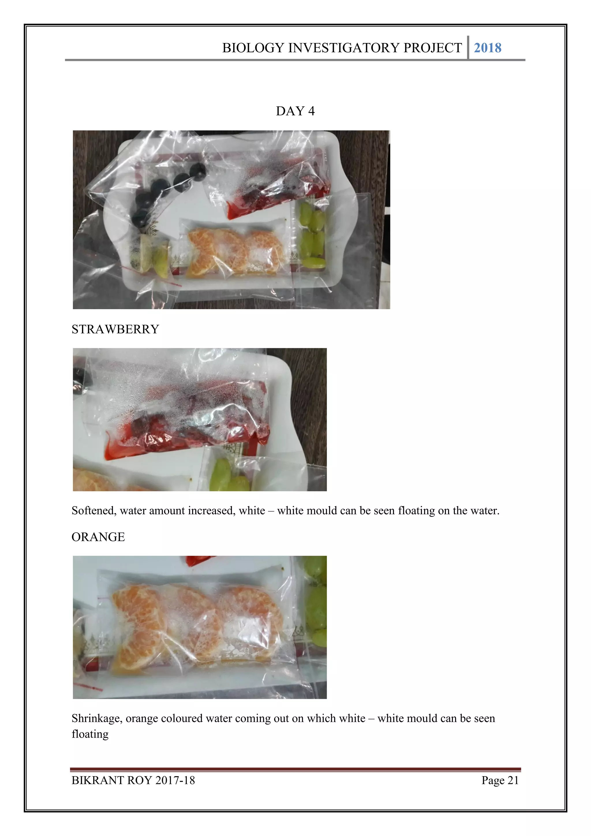 Biology Investigatory Project Class 11 and 12 | PDF