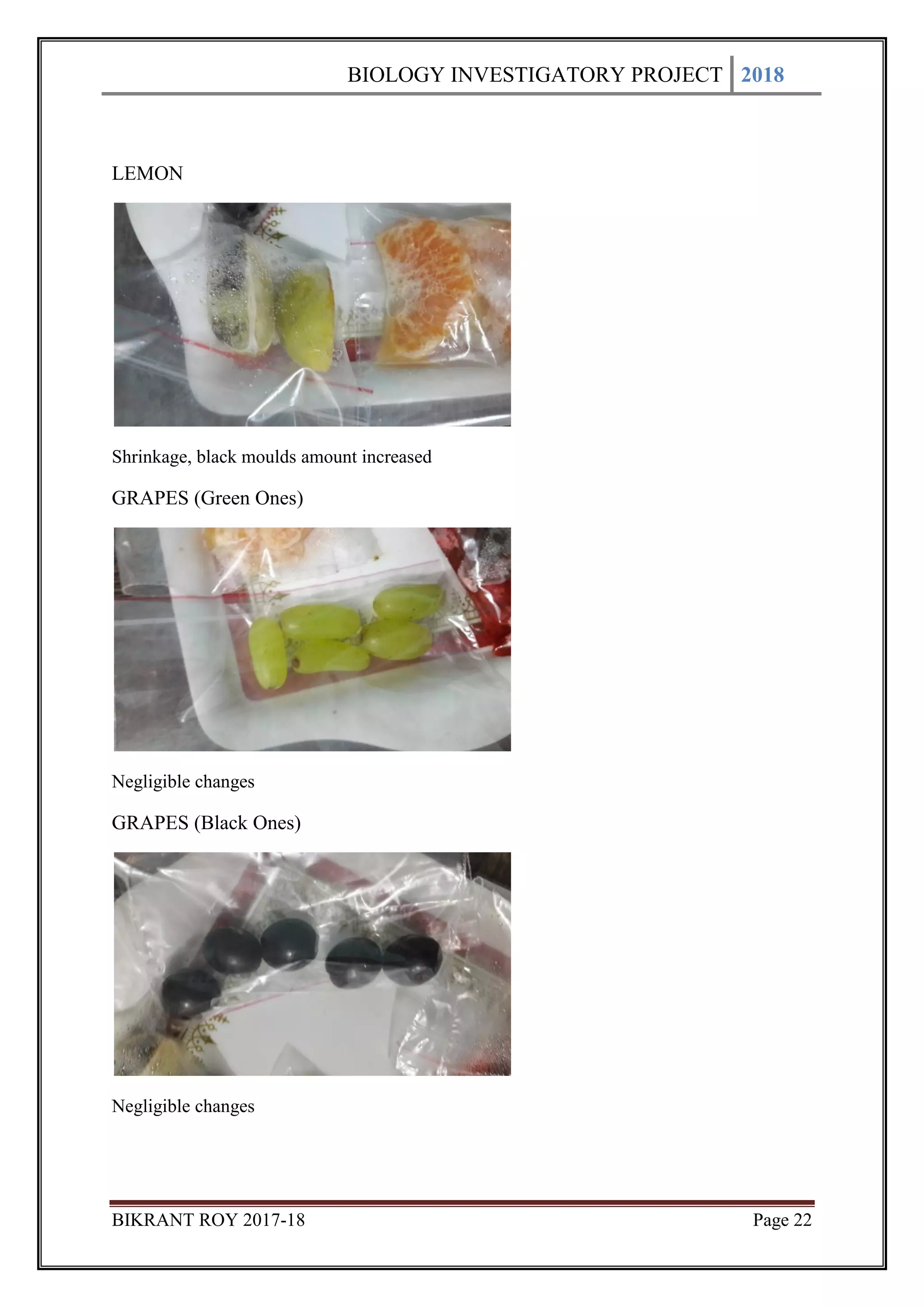 Biology Investigatory Project Class 11 and 12 | PDF