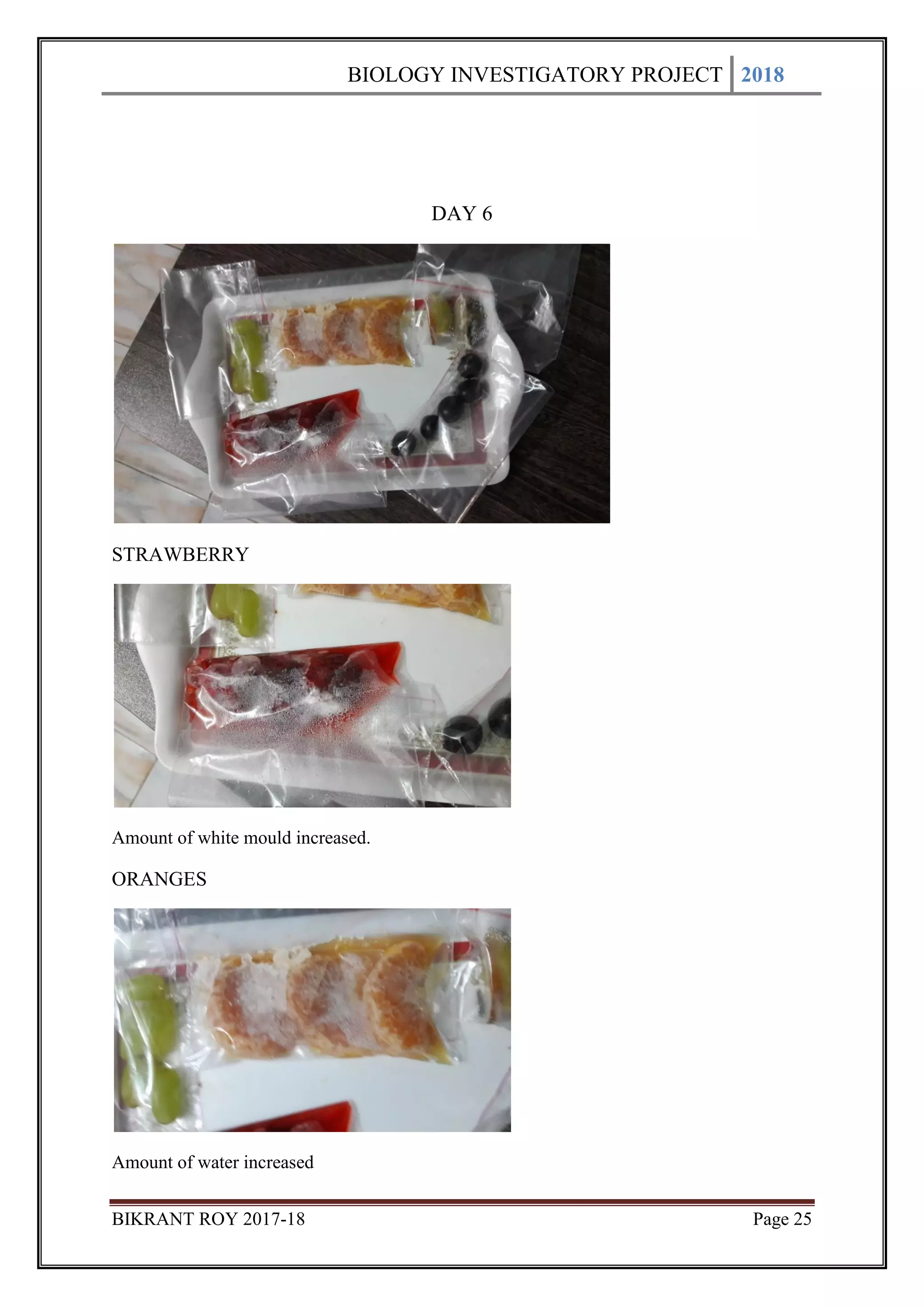 Biology Investigatory Project Class 11 and 12 | PDF