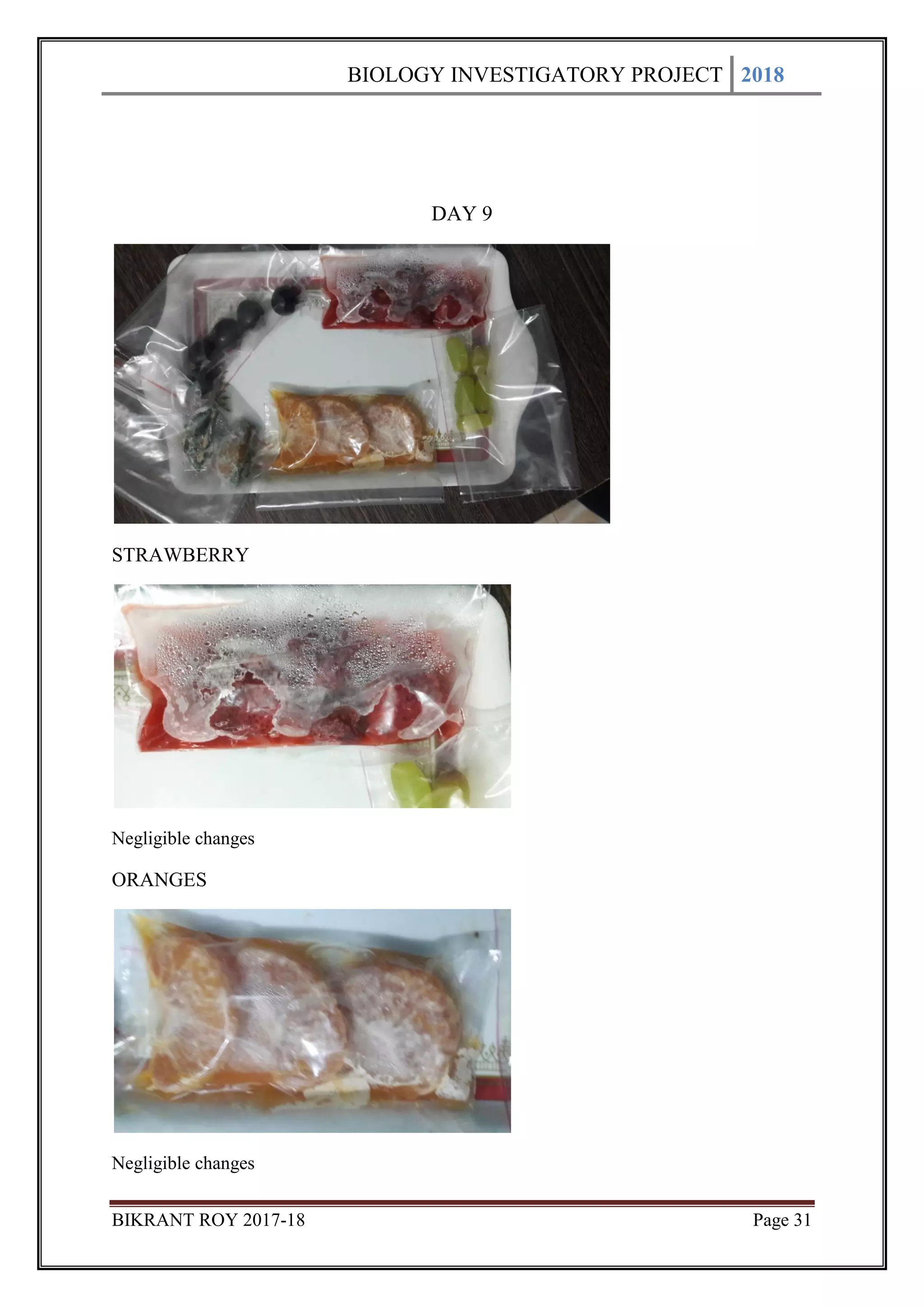 Biology Investigatory Project Class 11 and 12 | PDF