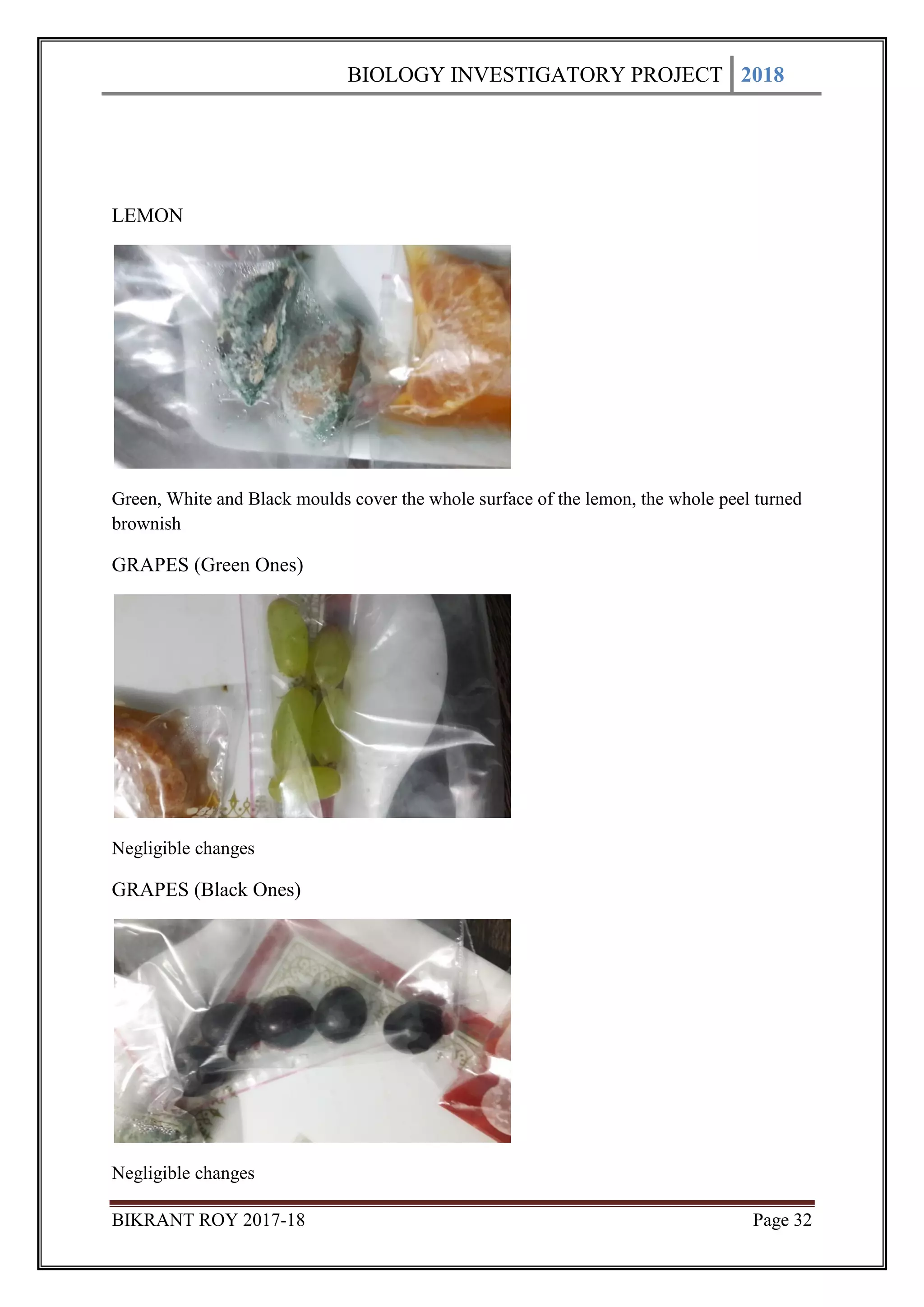 Biology Investigatory Project Class 11 and 12 | PDF
