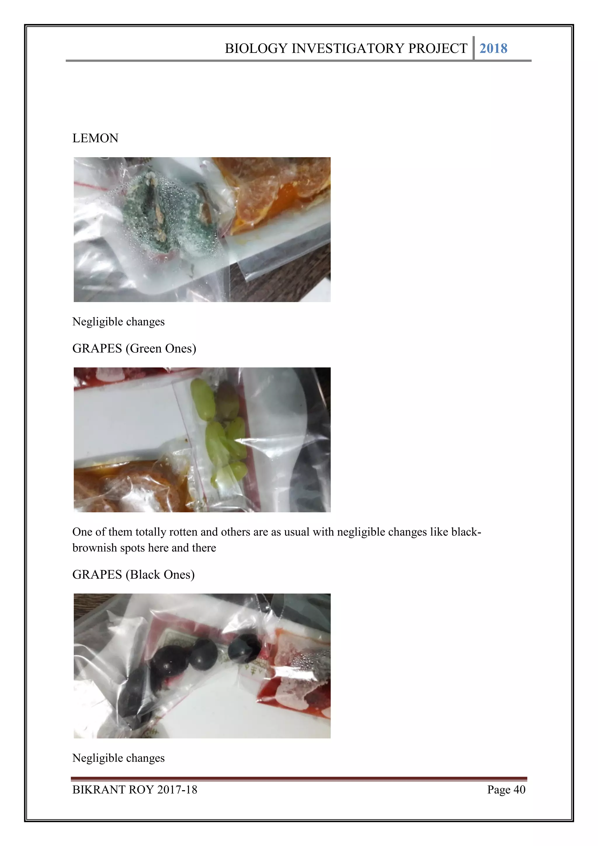 Biology Investigatory Project Class 11 and 12 | PDF