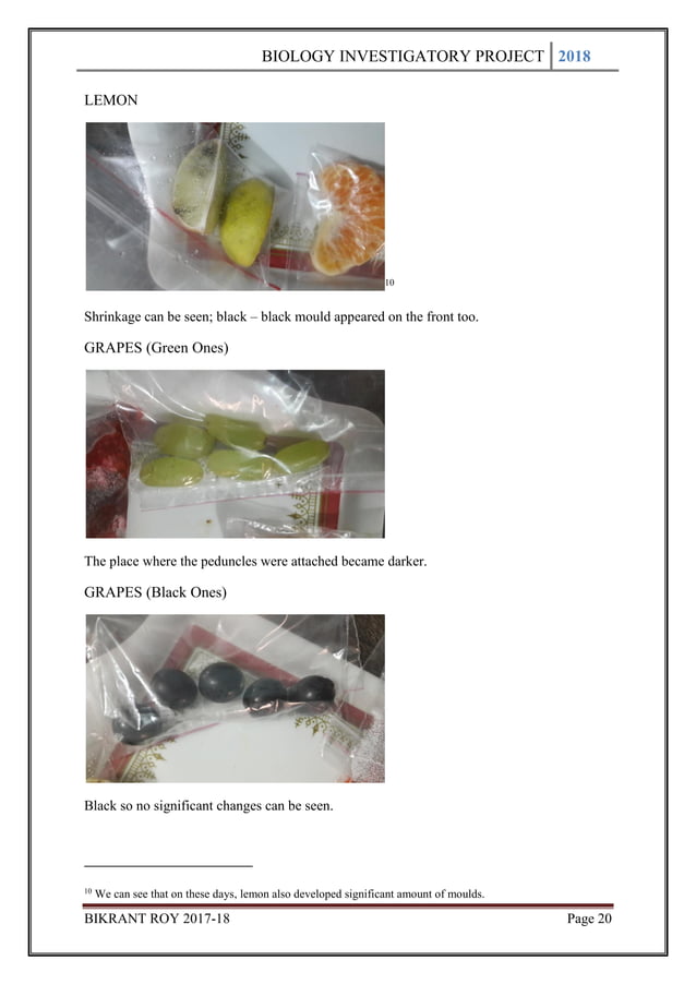 Biology Investigatory Project Class 11 and 12 | PDF