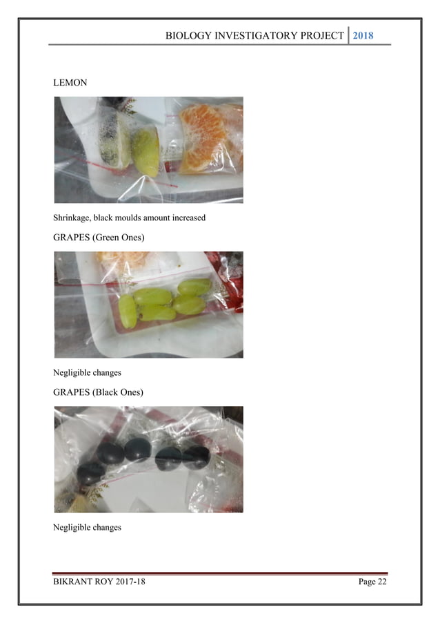 Biology Investigatory Project Class 11 and 12 | PDF