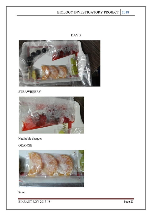 Biology Investigatory Project Class 11 and 12 | PDF