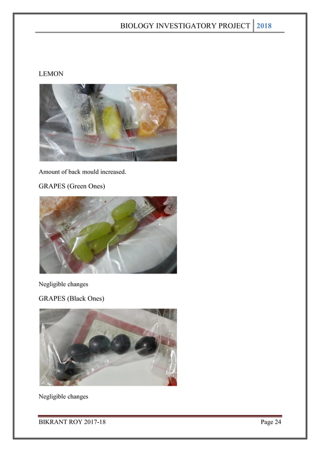 Biology Investigatory Project Class 11 and 12 | PDF