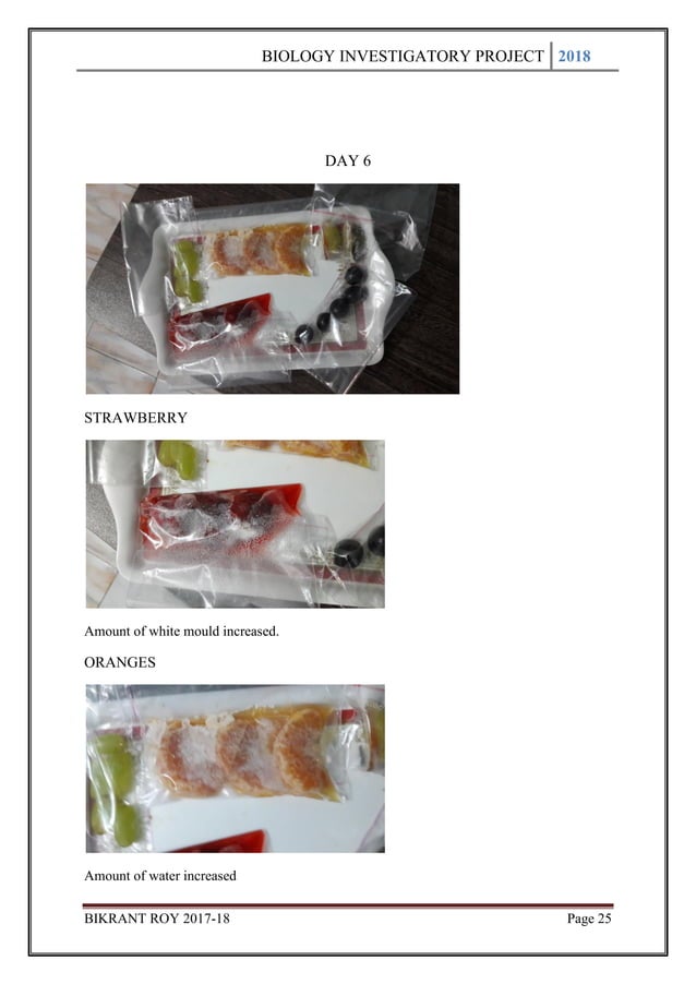 Biology Investigatory Project Class 11 and 12 | PDF