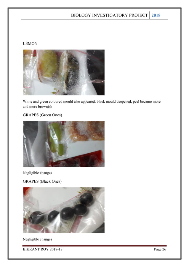 Biology Investigatory Project Class 11 and 12 | PDF