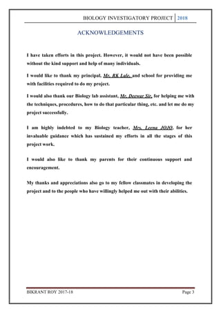 Biology Investigatory Project Class 11 and 12 | PDF