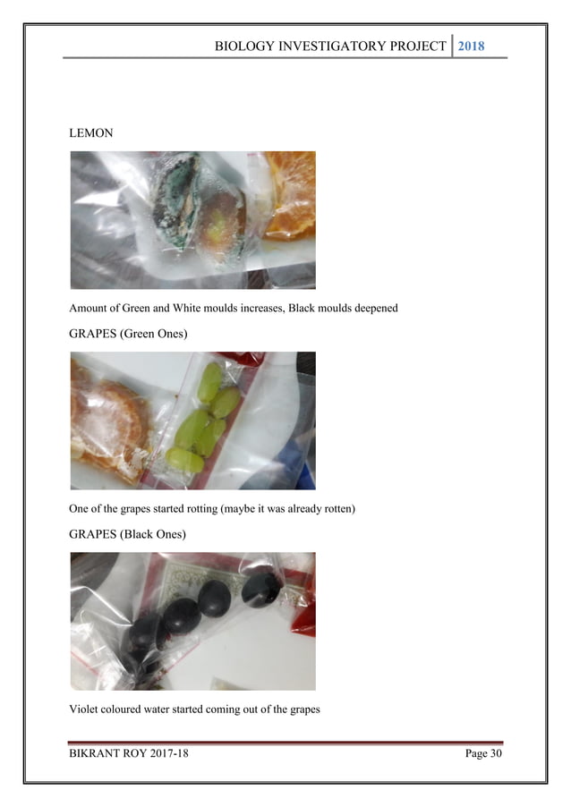 Biology Investigatory Project Class 11 and 12 | PDF