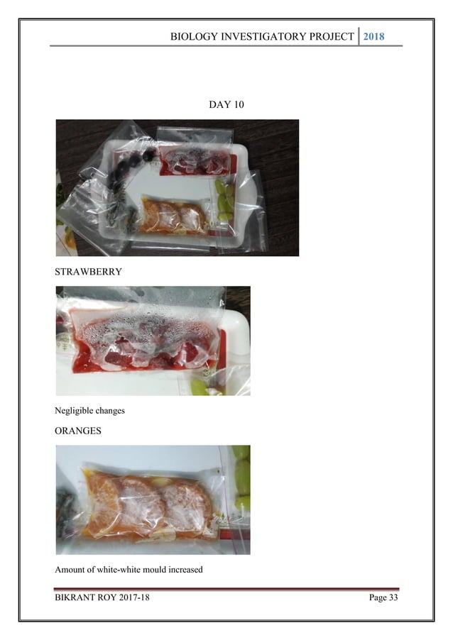 Biology Investigatory Project Class 11 and 12 | PDF