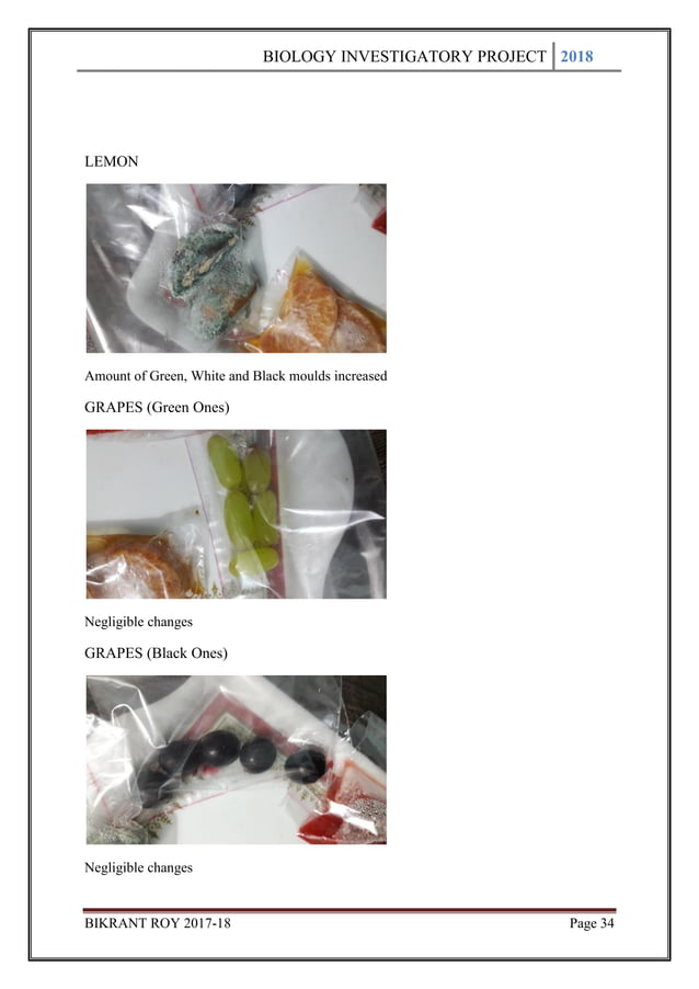 Biology Investigatory Project Class 11 and 12 | PDF