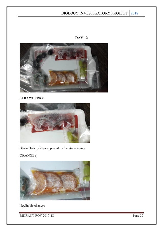 Biology Investigatory Project Class 11 and 12 | PDF