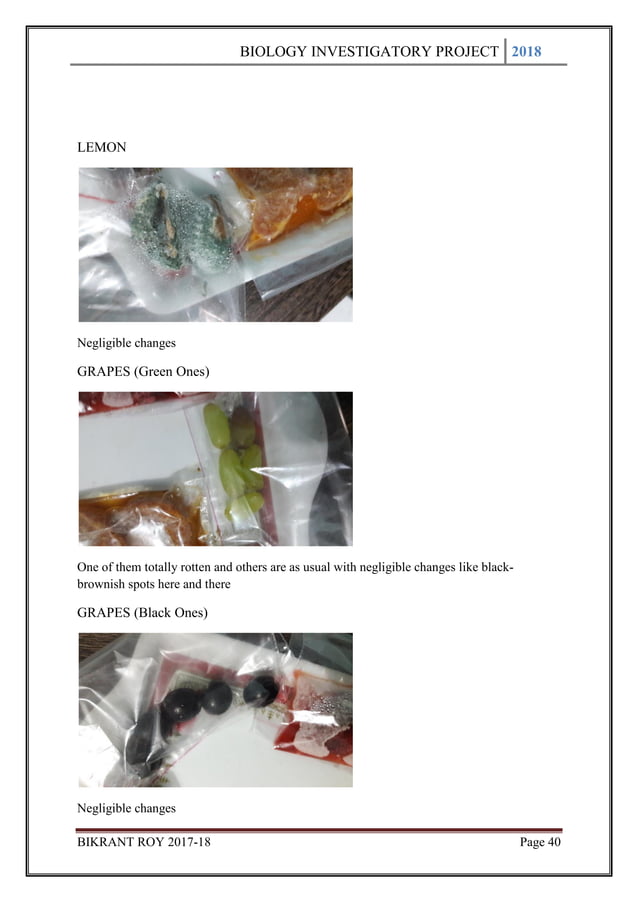 Biology Investigatory Project Class 11 and 12 | PDF