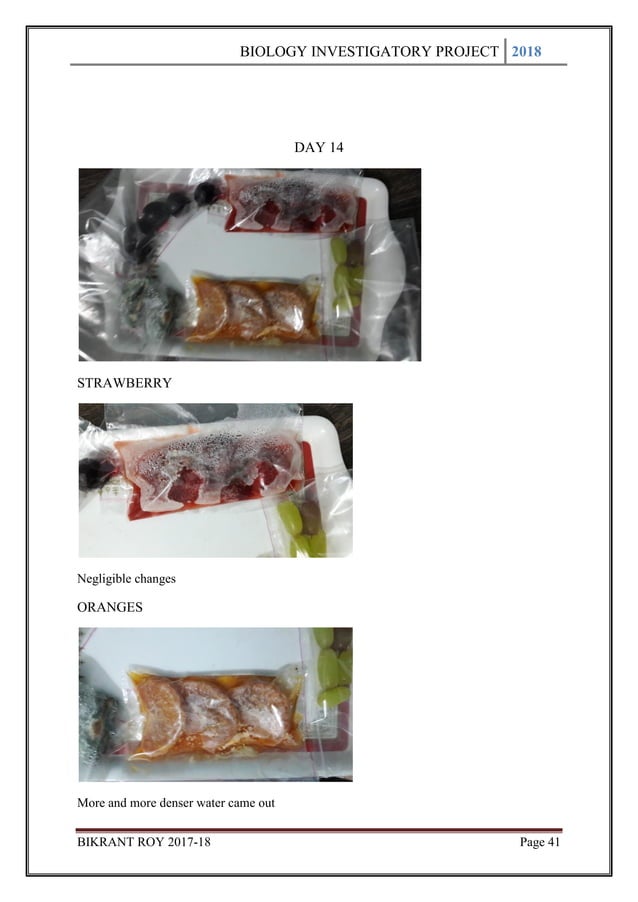 Biology Investigatory Project Class 11 and 12 | PDF