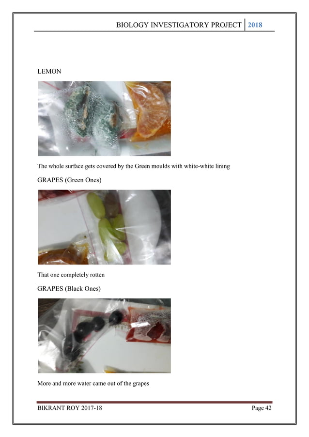 Biology Investigatory Project Class 11 and 12 | PDF