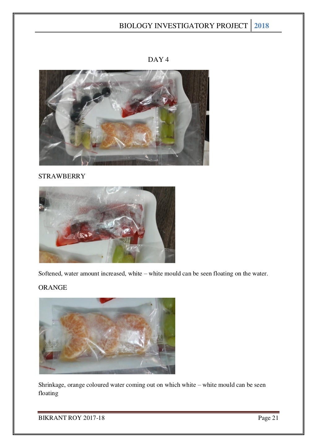 Biology Investigatory Project Class 11 And 12 Biology Investigatory Project Class 11 And 12
