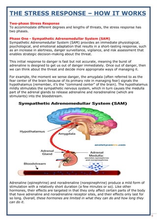 cbse Biology investigatory project class 12 on neuro-biological and ...
