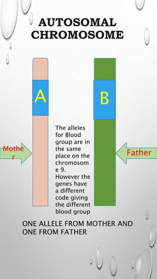 Blood grouping | PPTX