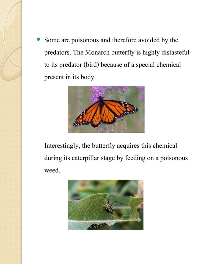 BIOLOGY INVESTIGATORY PROJECT.pdf | Biological Sciences | Science