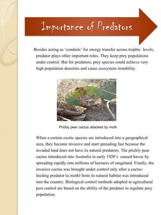 BIOLOGY INVESTIGATORY PROJECT.pdf | Biological Sciences | Science