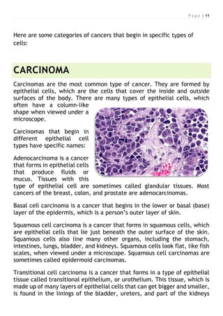 BIOLOGY_INVESTIGATORY_PROJECT[1].pdf | Cancer | Diseases and Conditions