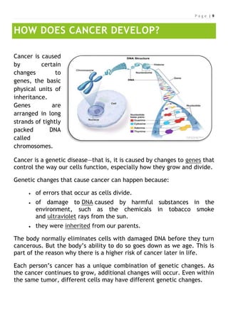 BIOLOGY_INVESTIGATORY_PROJECT[1].pdf | Cancer | Diseases and Conditions