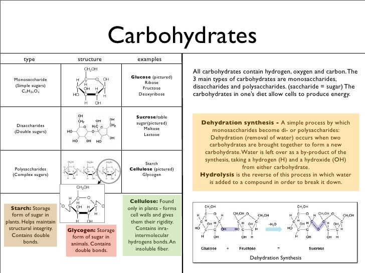 Carbohydrate Definition Classification Examples