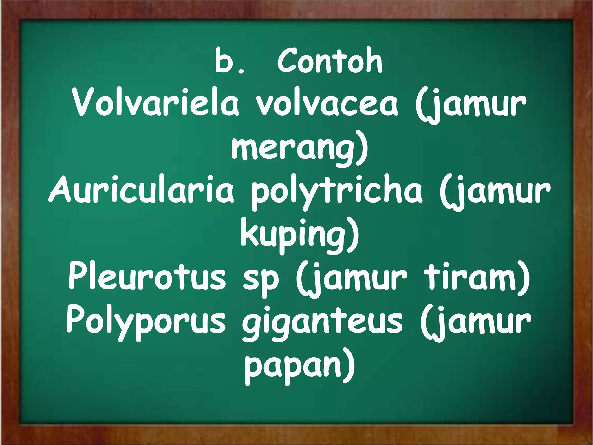 Klasfikasi jamur _ Biology | PPTX