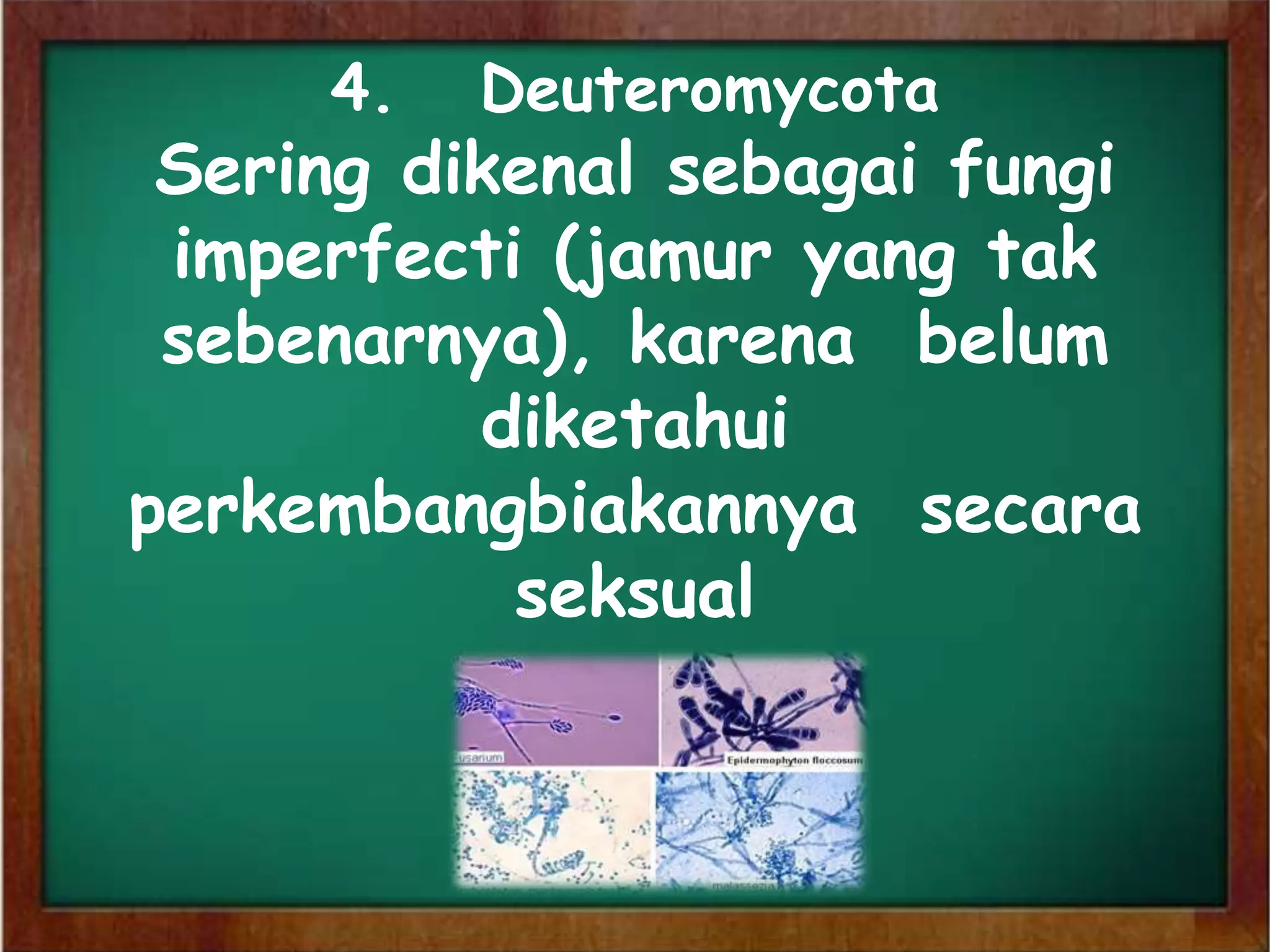 Klasfikasi jamur _ Biology | PPTX