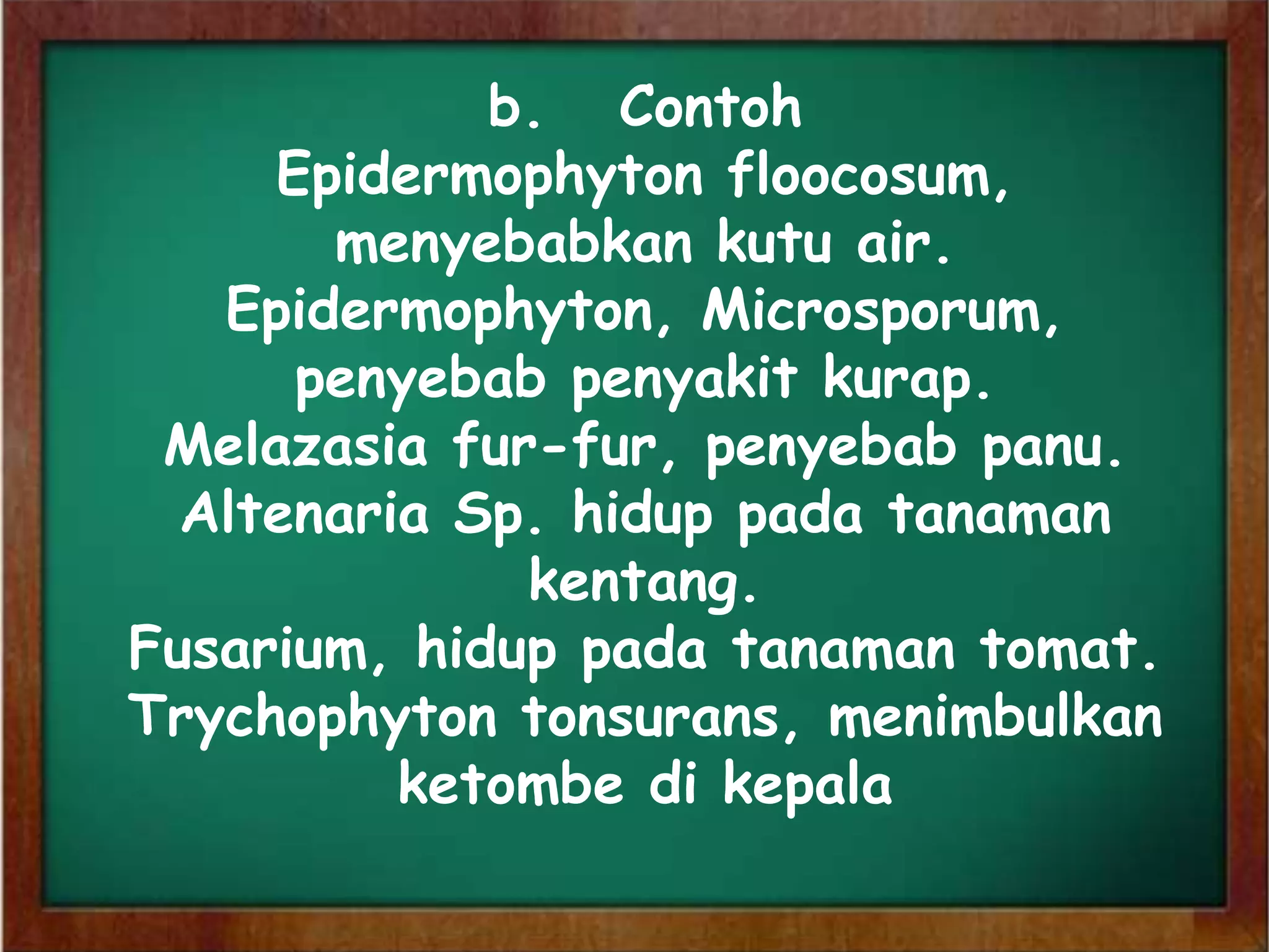 Klasfikasi jamur _ Biology | PPTX