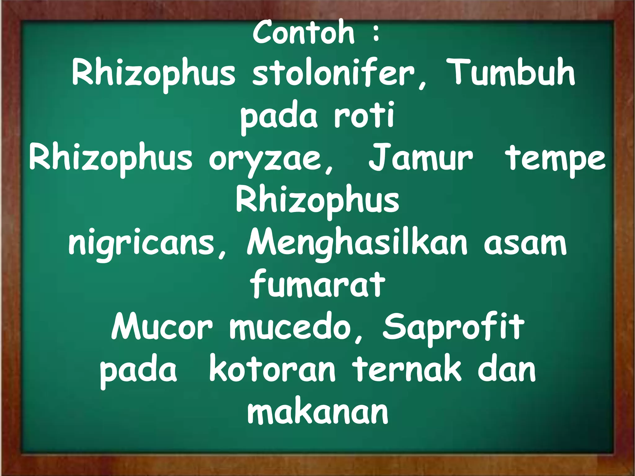 Klasfikasi jamur _ Biology | PPTX
