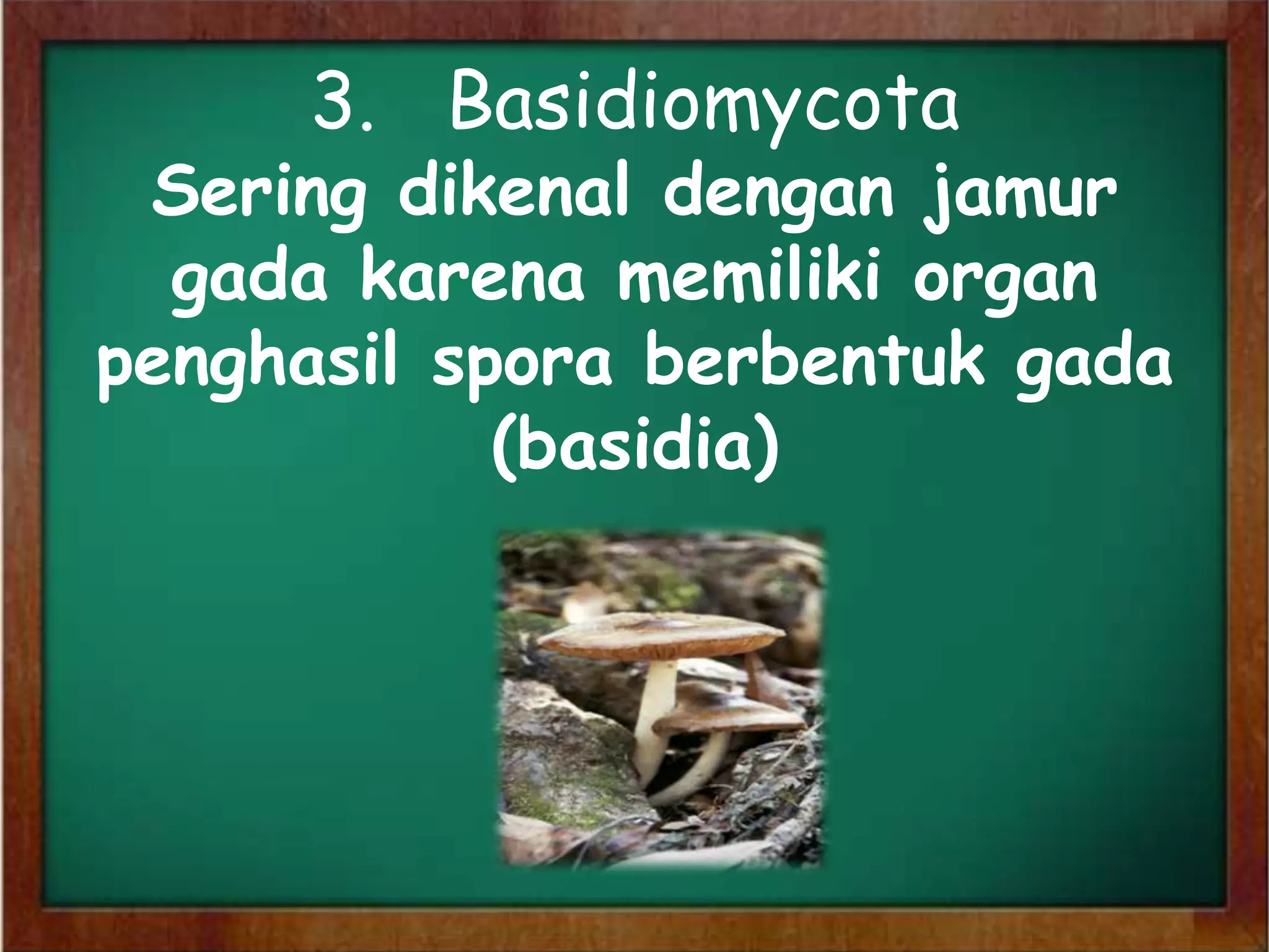 Klasfikasi jamur _ Biology | PPTX