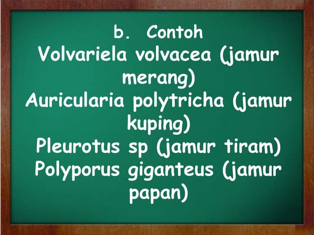 Klasfikasi jamur _ Biology | PPTX