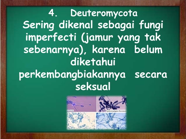 Klasfikasi jamur _ Biology | PPTX