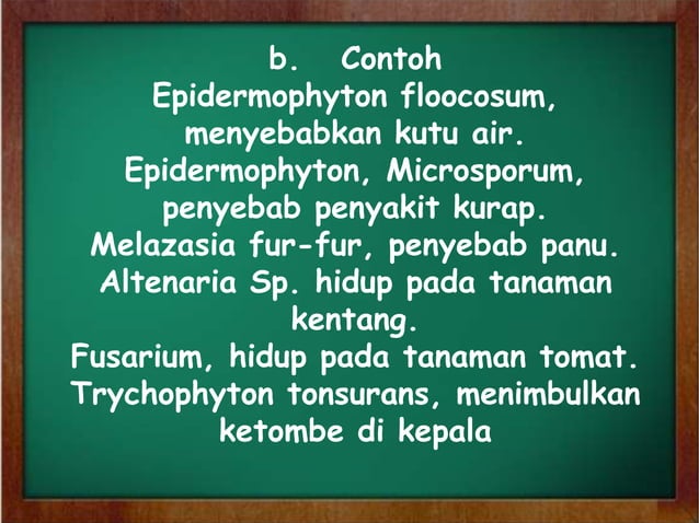 Klasfikasi jamur _ Biology | PPTX