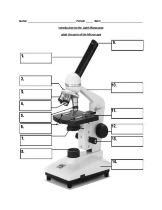 Biology label part of microscope | DOCX