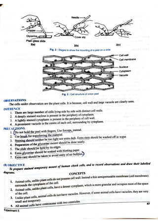 Biology lab manual activity | PDF