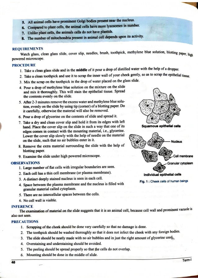 Biology lab manual activity | PDF | Biological Sciences | Science