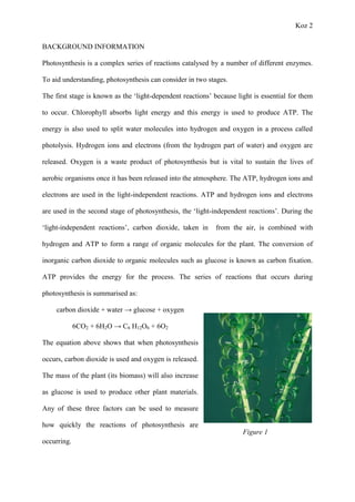Biology Lab Report 1 | PDF