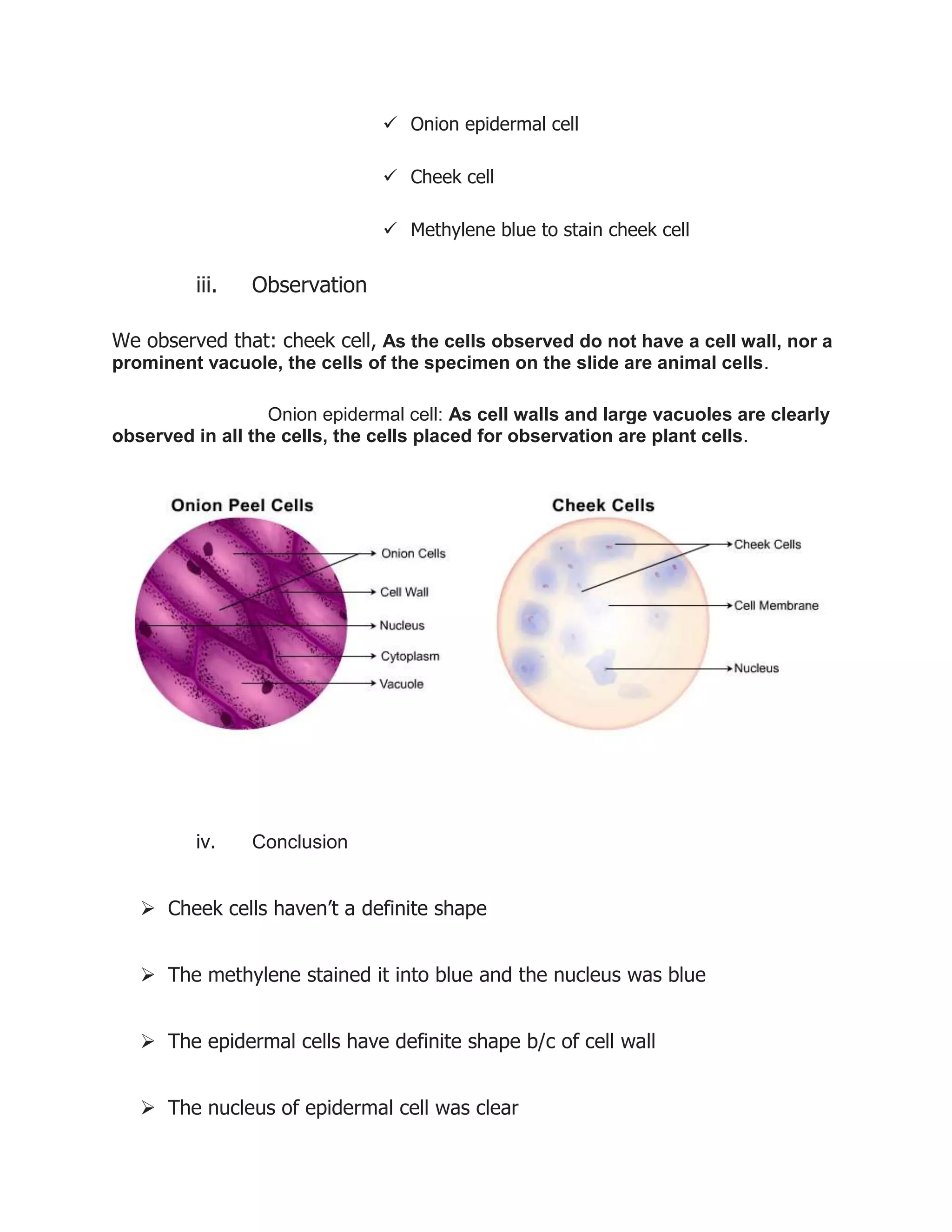 BIOLOGY LAB REPORT 2.docx