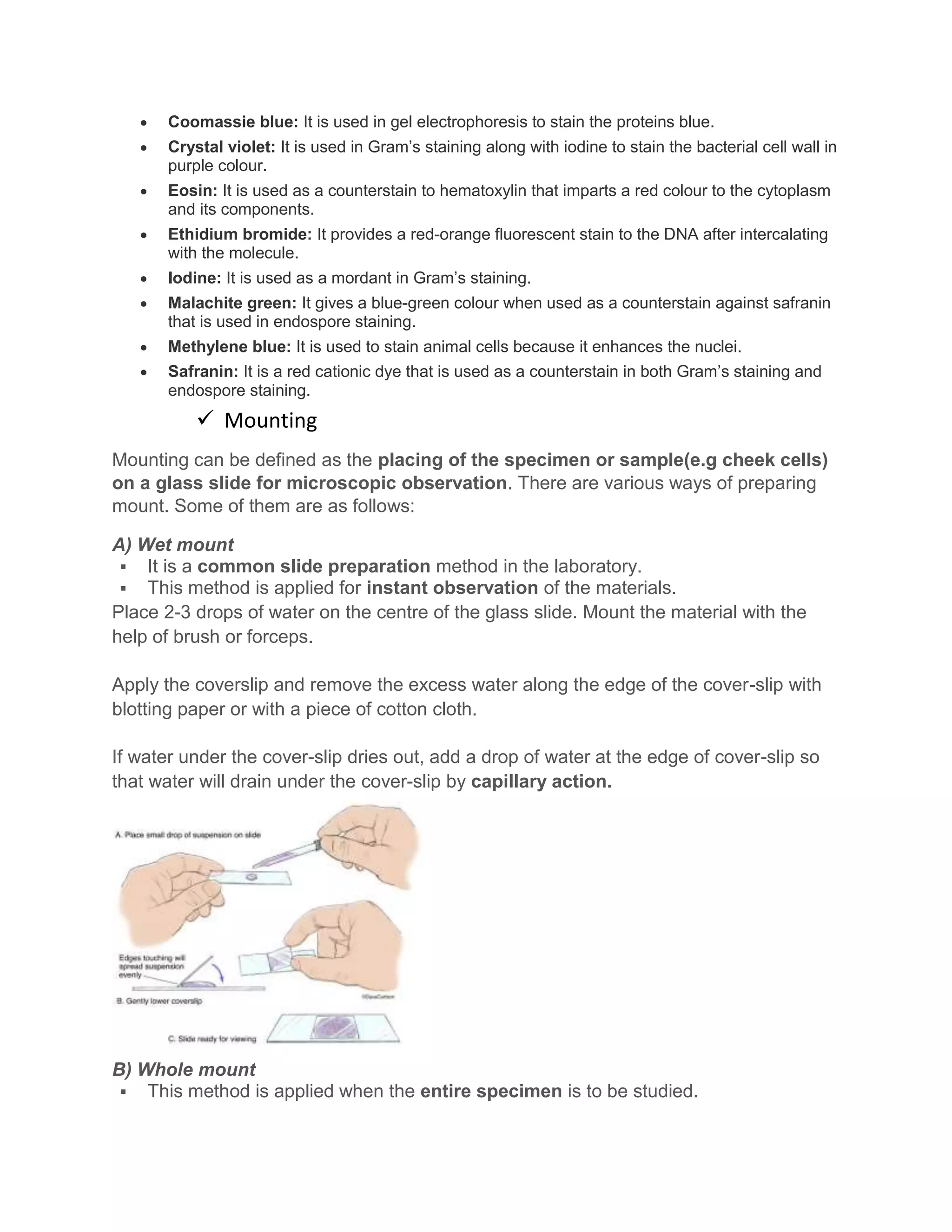 BIOLOGY LAB REPORT 2.docx