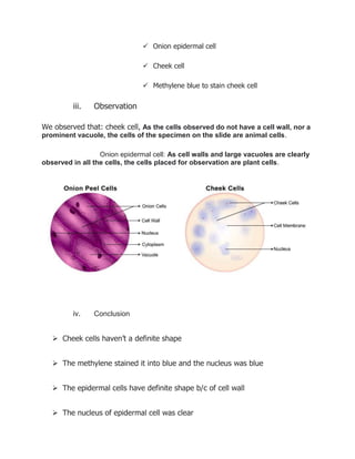 BIOLOGY LAB REPORT 2.docx